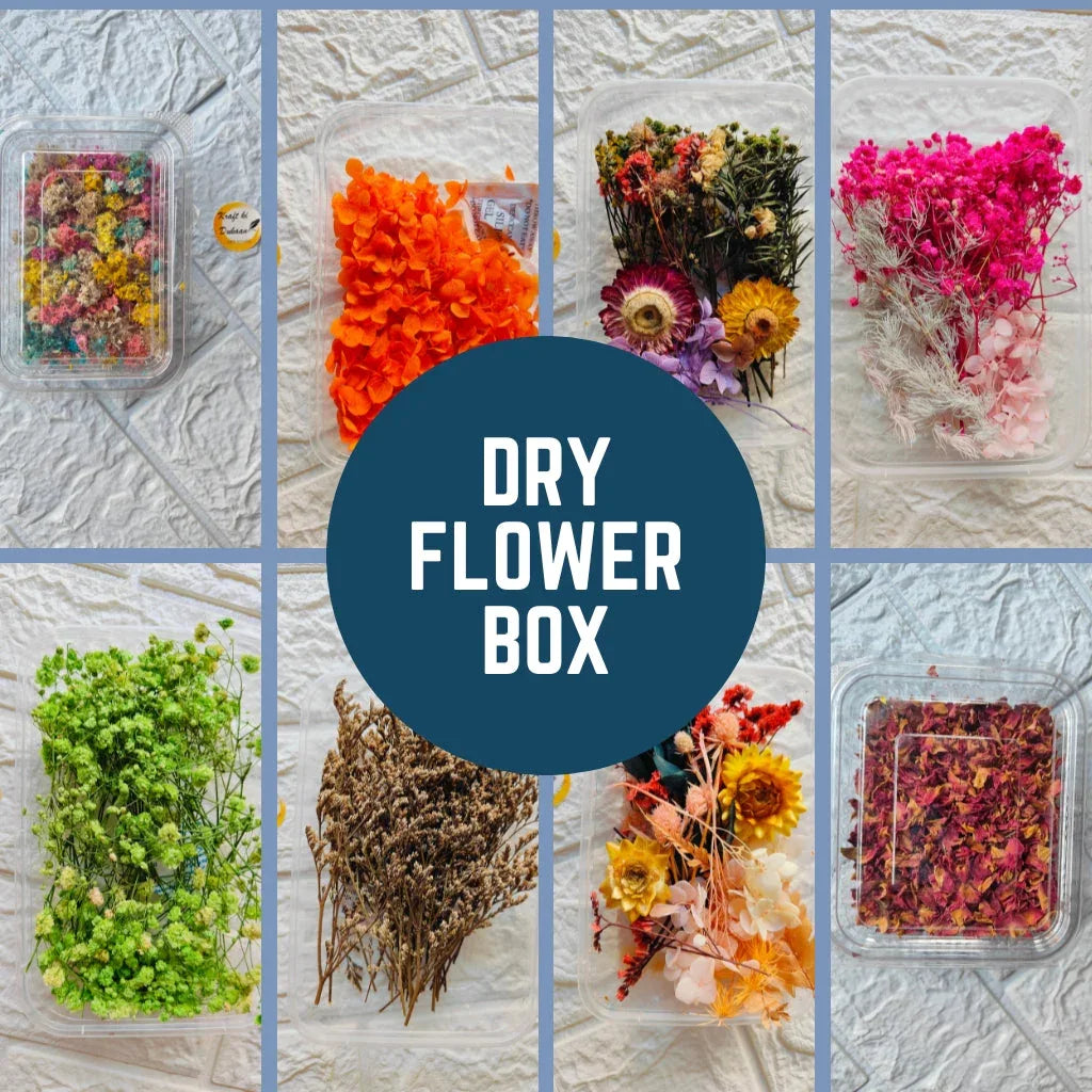 Stunning Dry Flower Box for Dried Flowers for Resin Art | Kraft ki ...
